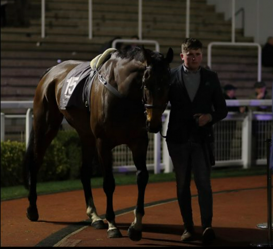 Gentle Slopes powers to Bumper victory. | Yorton Farm