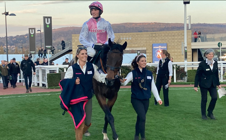 Gentle Slopes cruises to Listed Bumper win at Cheltenham | Yorton Farm